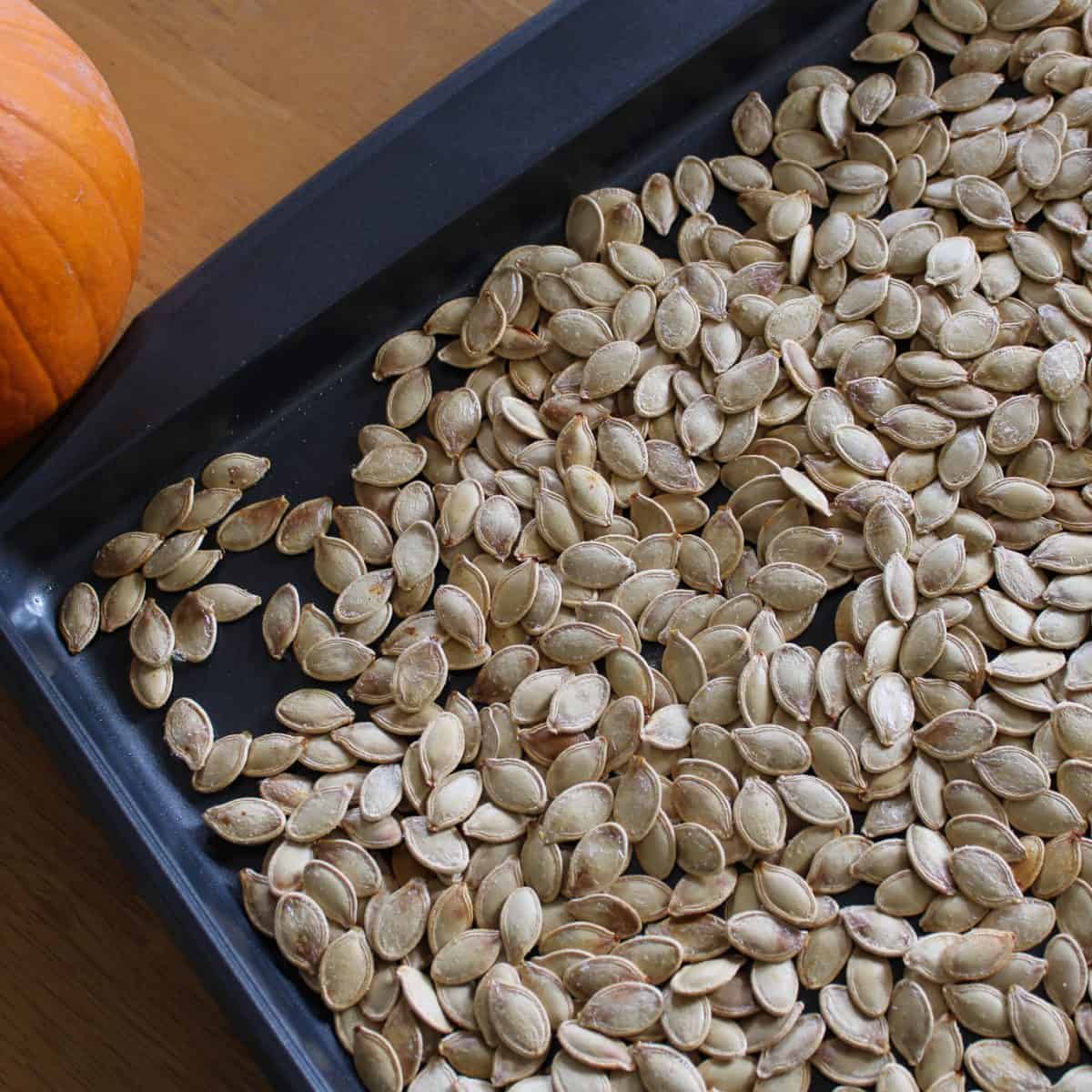 How to Bake Pumpkin Seeds | Simple Salted Pumpkin Seeds - Tulips and Twill