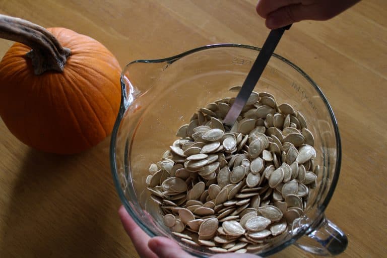 How to Bake Pumpkin Seeds | Simple Salted Pumpkin Seeds - Tulips and Twill