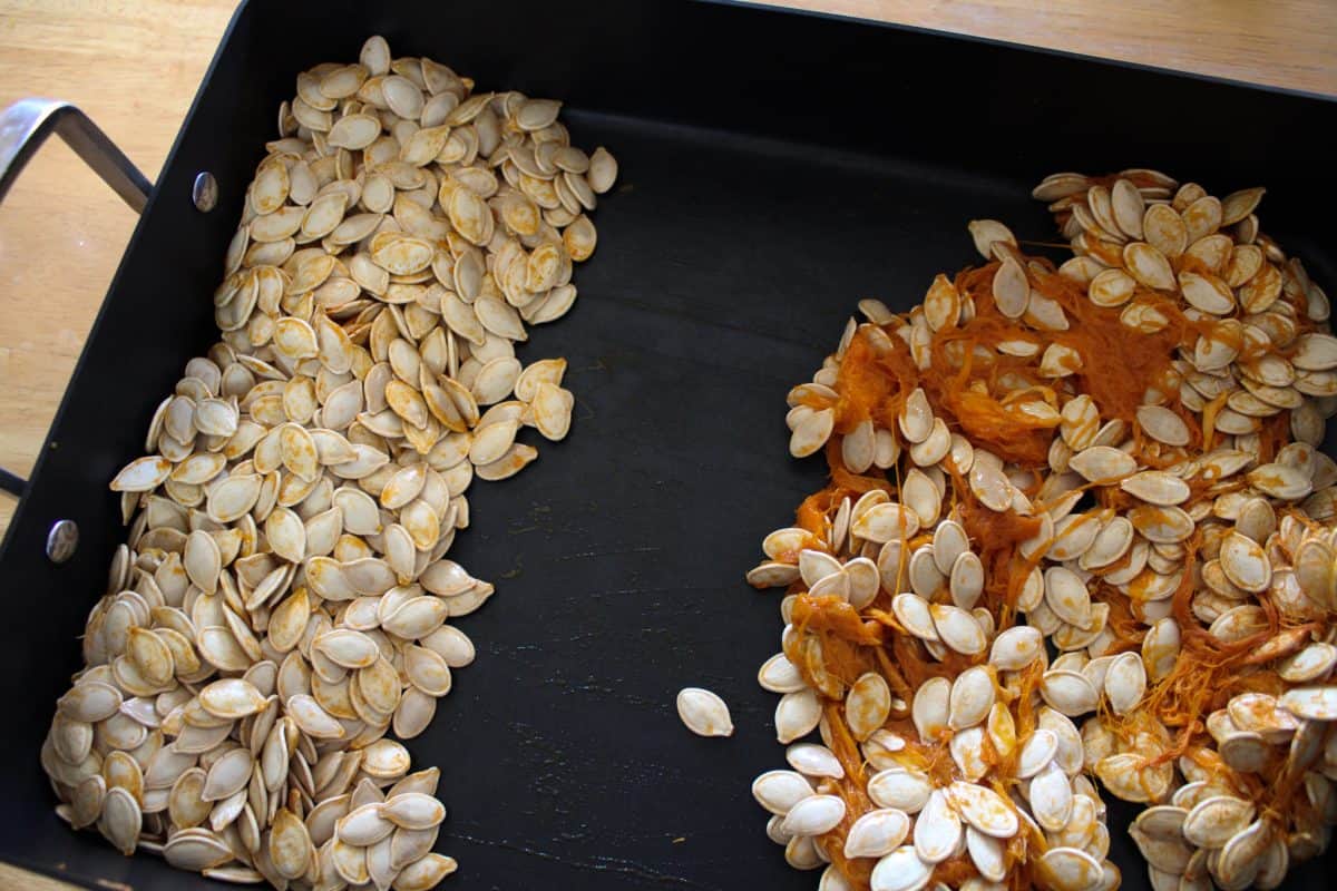 How to Bake Pumpkin Seeds | Simple Salted Pumpkin Seeds - Tulips and Twill