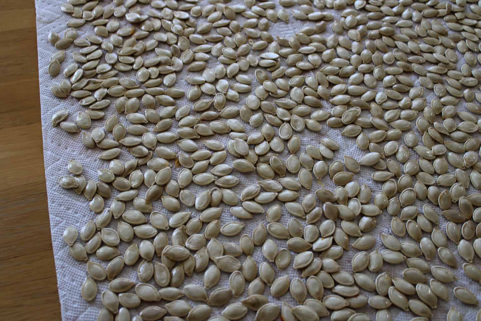 How to Bake Pumpkin Seeds | Simple Salted Pumpkin Seeds - Tulips and Twill