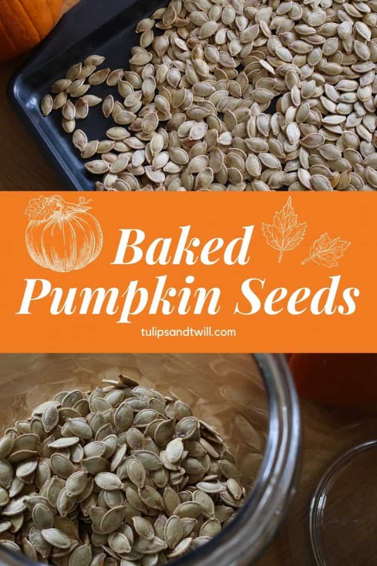 How to Bake Pumpkin Seeds | Simple Salted Pumpkin Seeds - Tulips and Twill