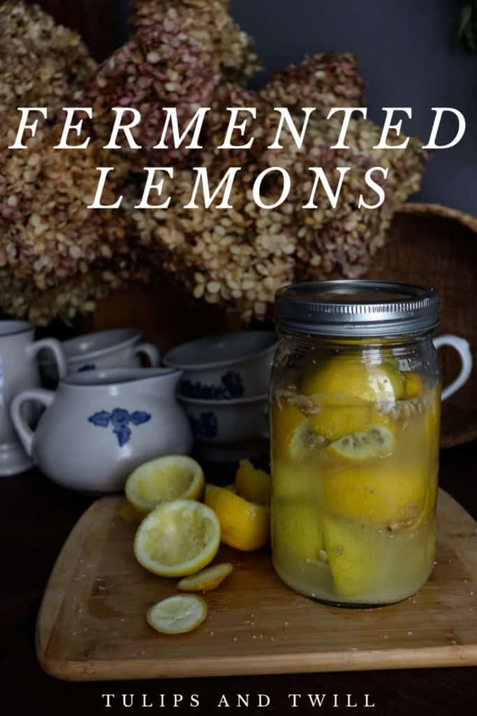 Fermented Lemons (Moroccan Preserved Lemons) - Tulips and Twill