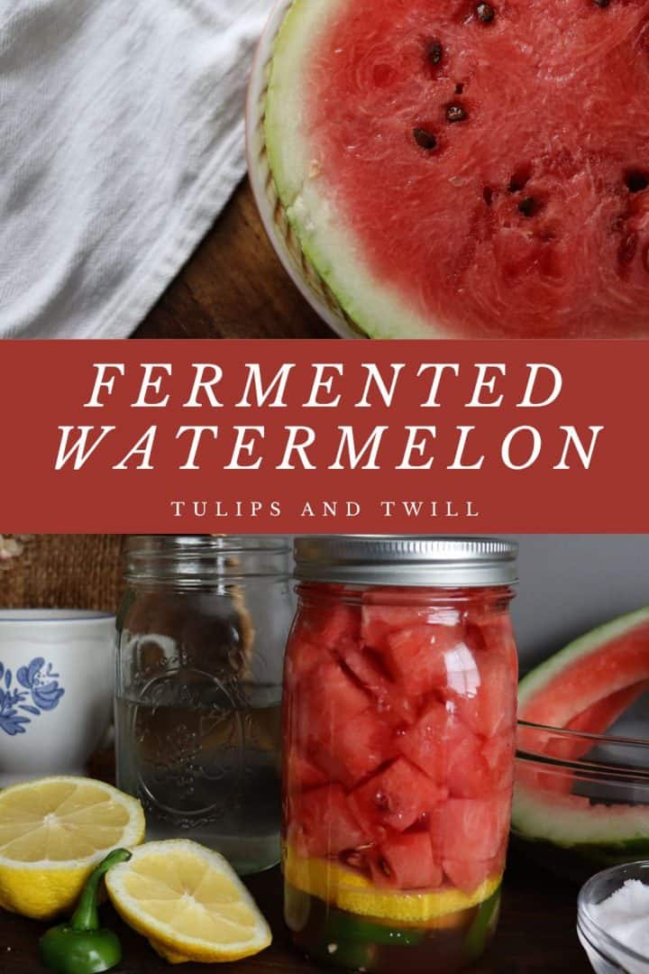 Fermented Watermelon - Tulips and Twill