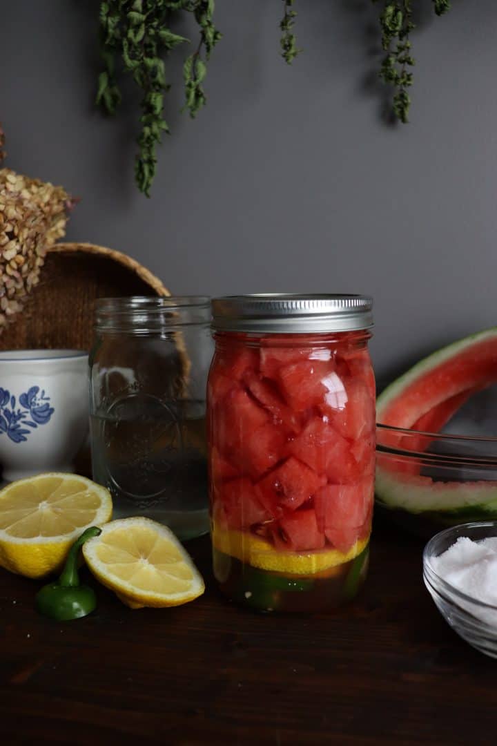 Fermented Watermelon - Tulips and Twill