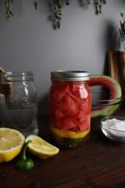 Fermented Watermelon - Tulips and Twill