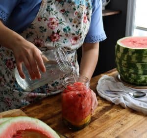 Fermented Watermelon - Tulips and Twill