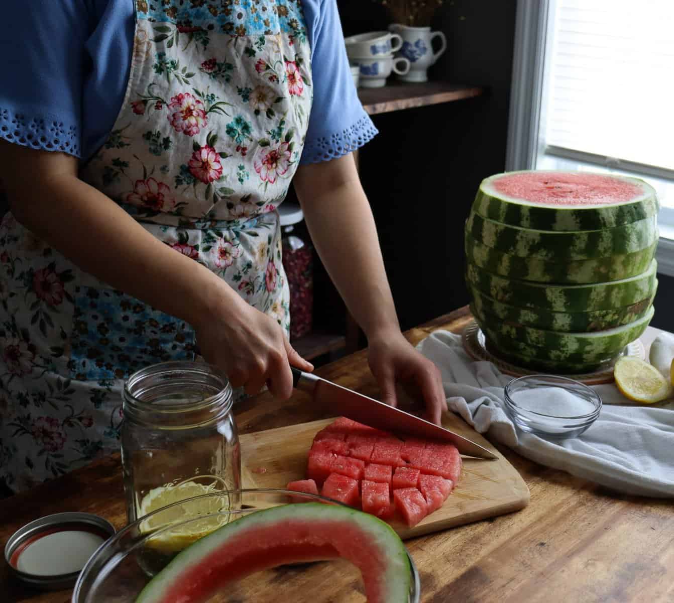 Fermented Watermelon - Tulips and Twill