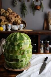 Fermented Watermelon - Tulips and Twill