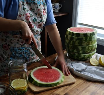 Fermented Watermelon - Tulips and Twill