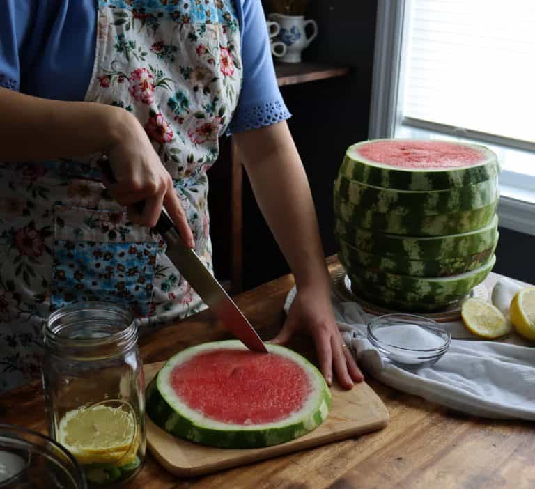 Fermented Watermelon - Tulips and Twill