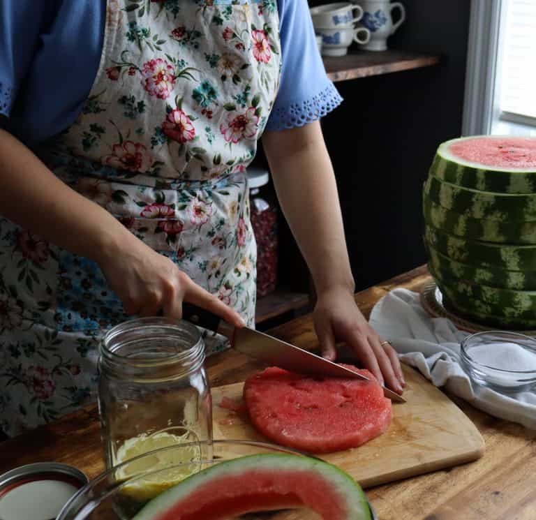 Fermented Watermelon - Tulips and Twill