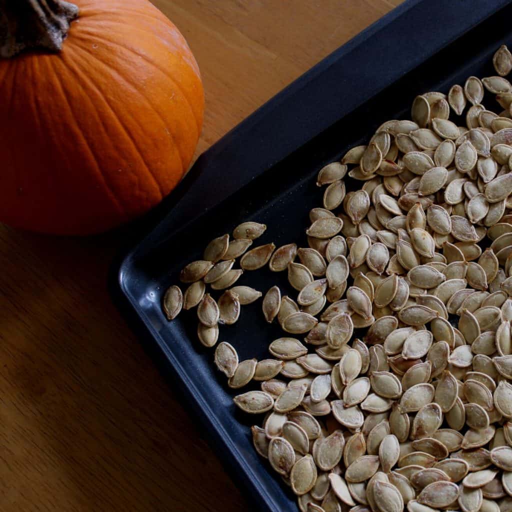 Fall Aesthetic | Savoring Autumn - Tulips and Twill