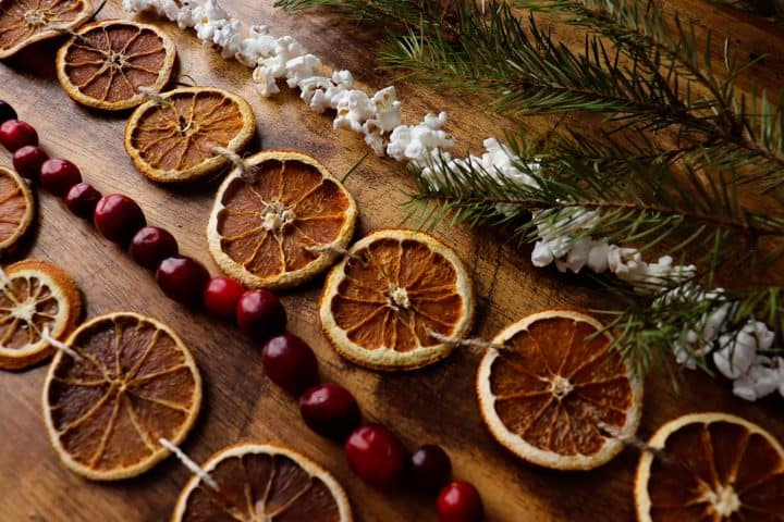 Handmade Dried Orange Garland - Tulips and Twill