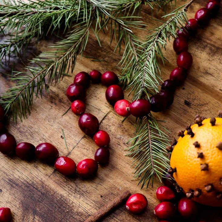 Handmade Cranberry Garland - Tulips and Twill