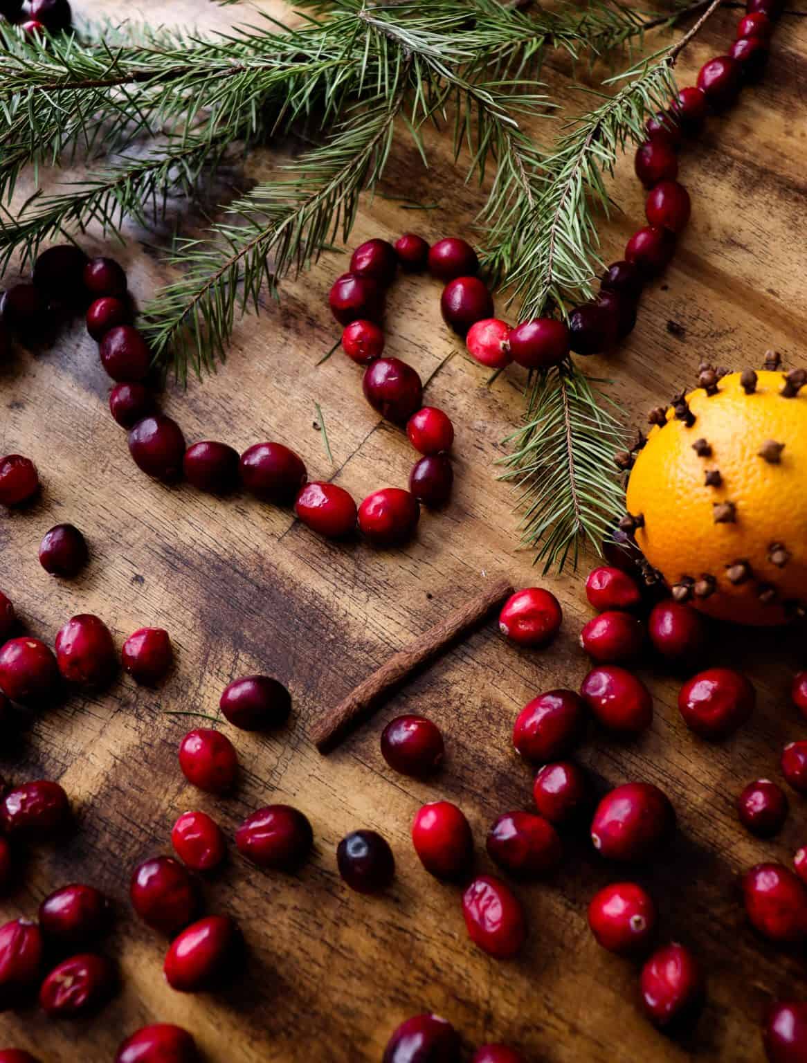 Handmade Cranberry Garland - Tulips and Twill