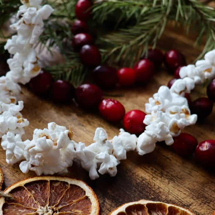 Handmade Popcorn Garland - Tulips and Twill