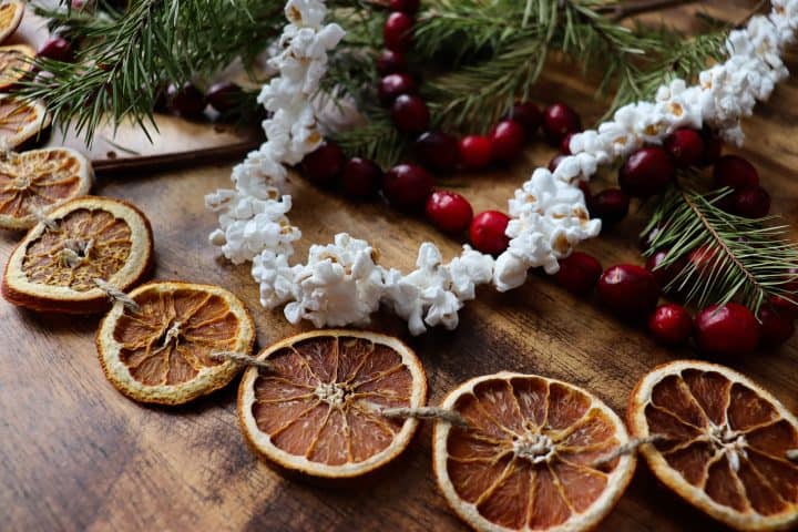 Handmade Popcorn Garland - Tulips and Twill