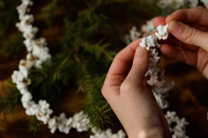 Handmade Popcorn Garland - Tulips and Twill
