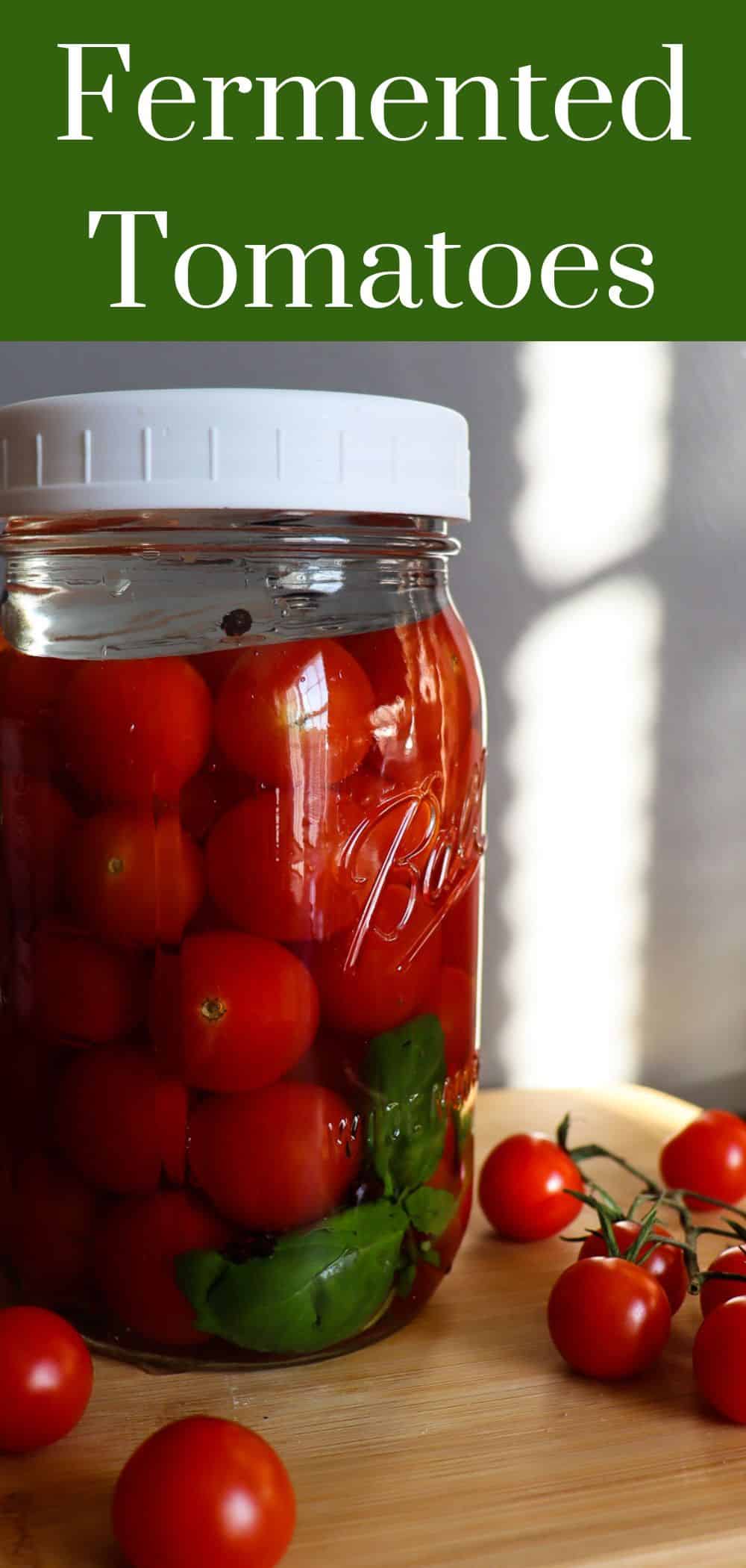 Fermented Tomatoes - Tulips and Twill