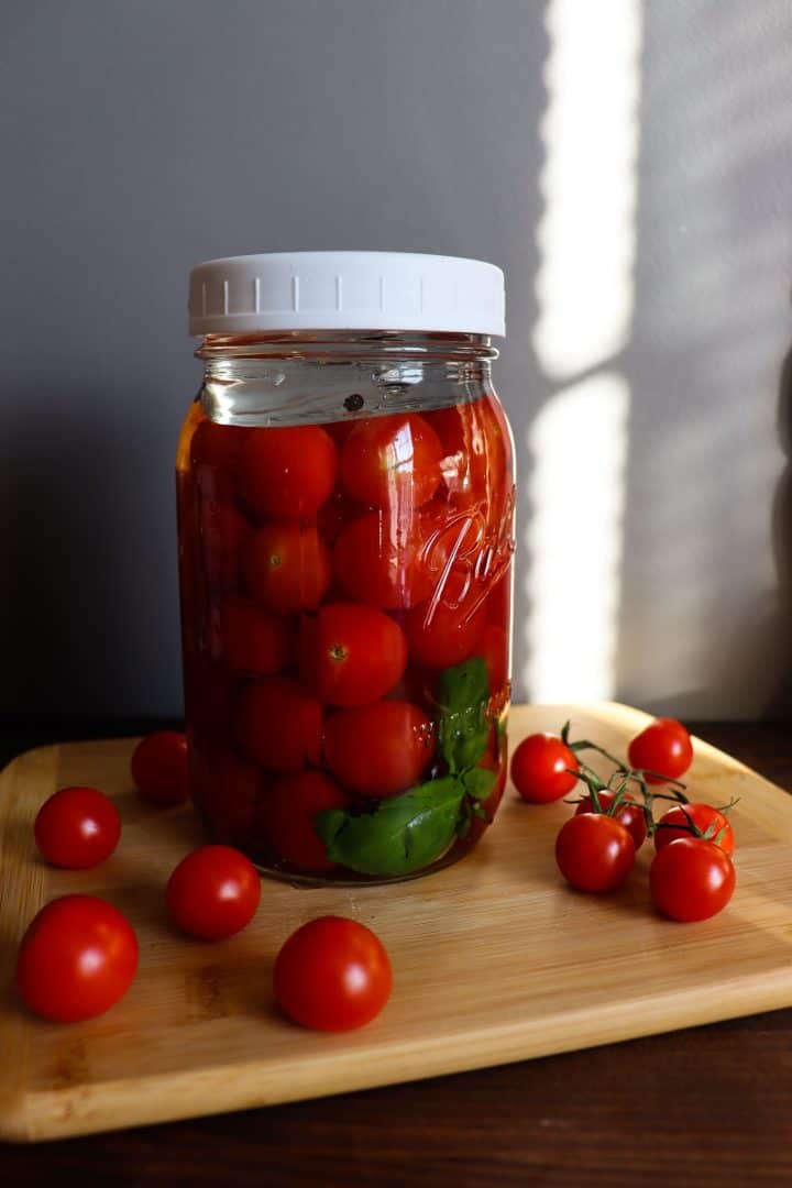 Fermented Tomatoes - Tulips and Twill