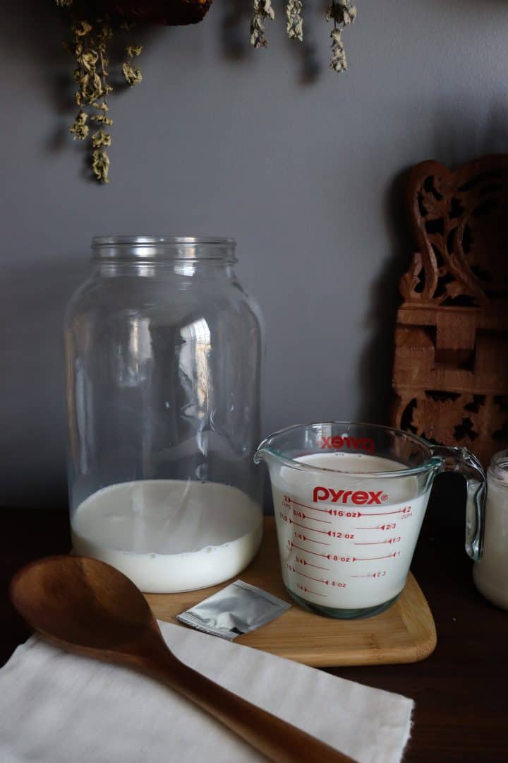 Homemade Cream Cheese - Tulips and Twill