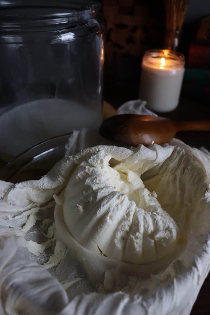 Homemade Cream Cheese - Tulips and Twill