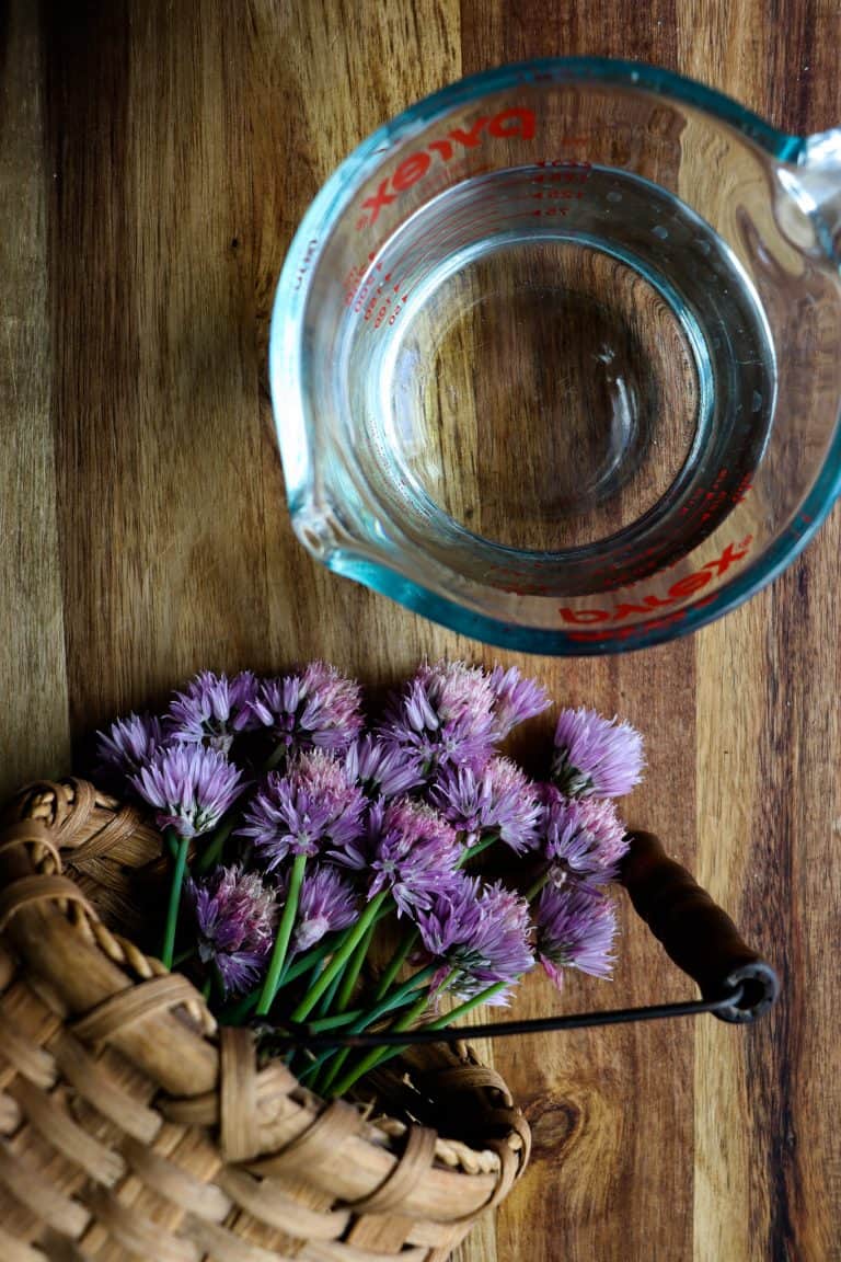 Chive Blossom Vinegar - Tulips and Twill