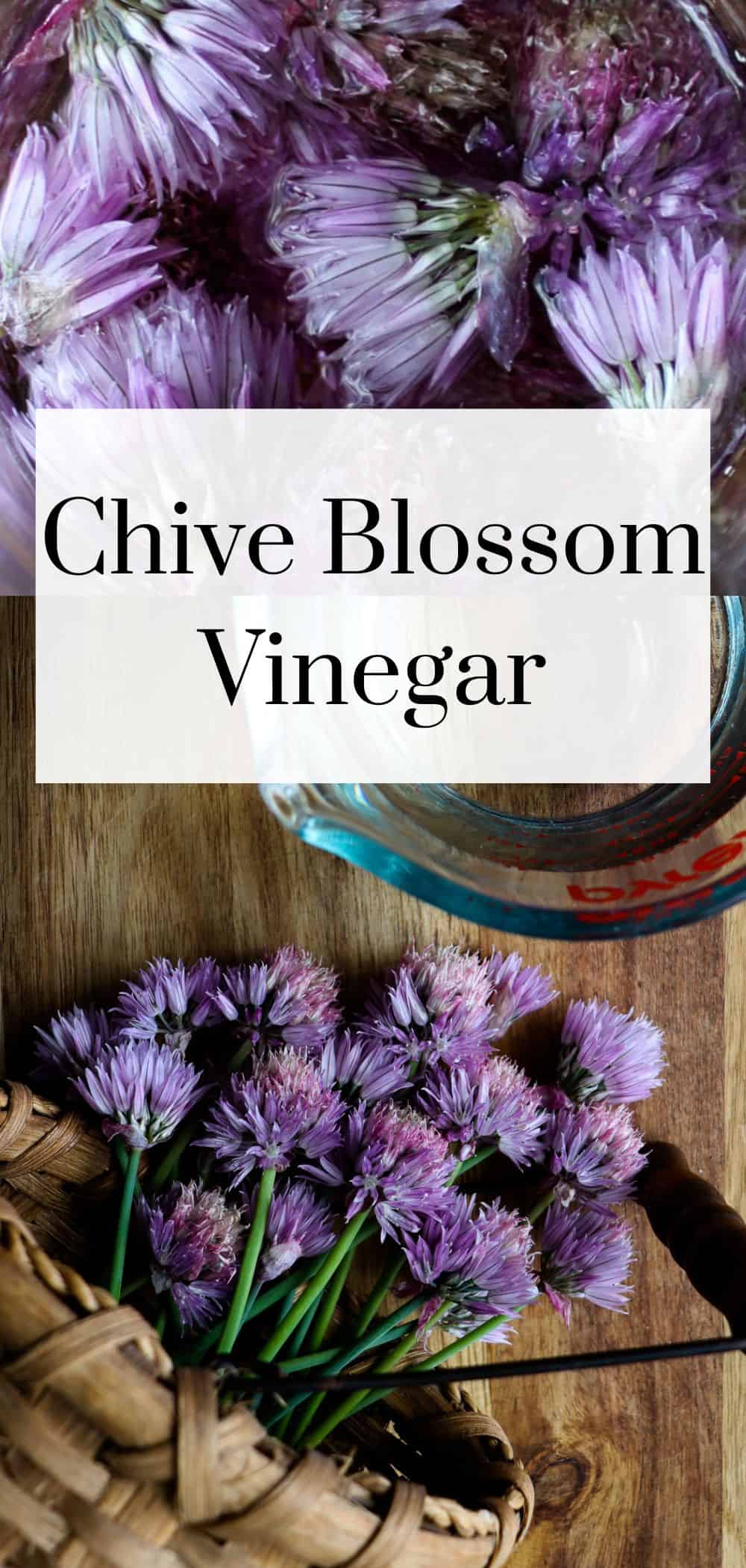 Chive Blossom Vinegar - Tulips and Twill